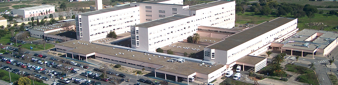 CHBM promove benchmarking com outros hospitais do SNS - Supply Chain ...