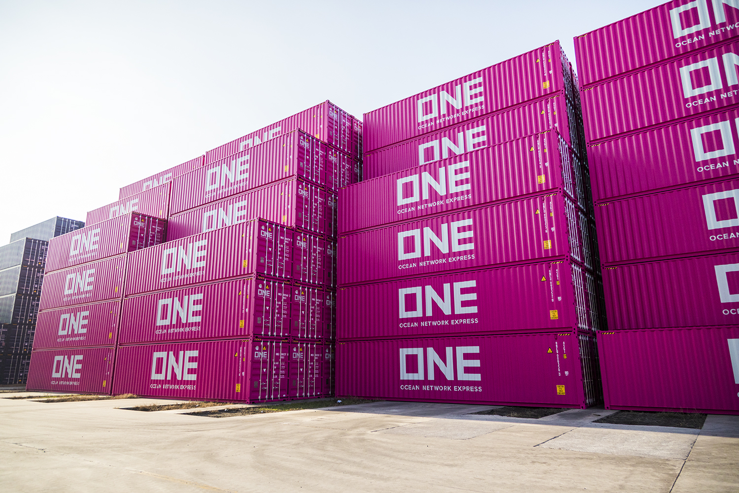 Ocean Network Express inicia actividade e apresenta ONE Minato - Supply ...