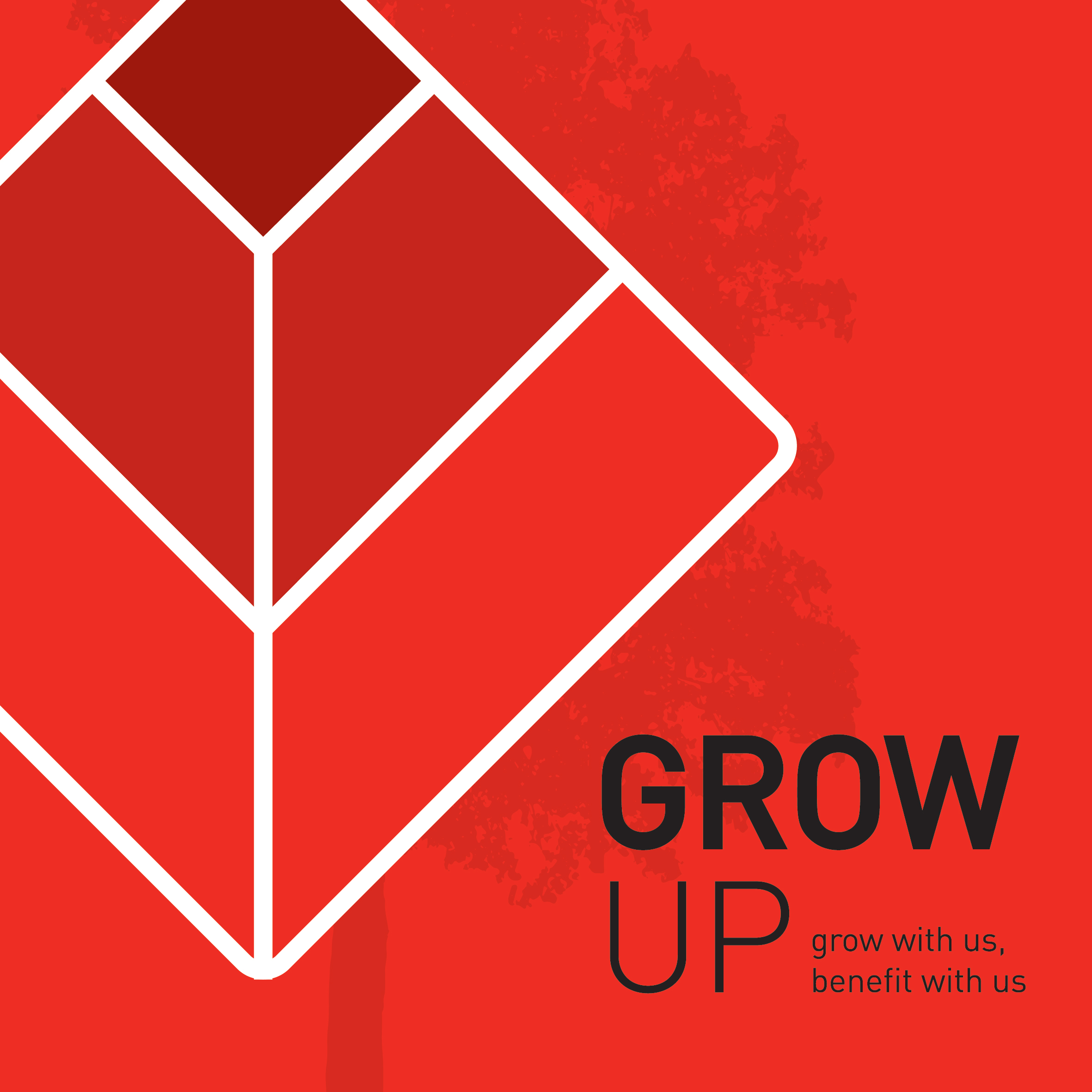 Galius com novo programa de fidelização Grow Up - Supply Chain Magazine