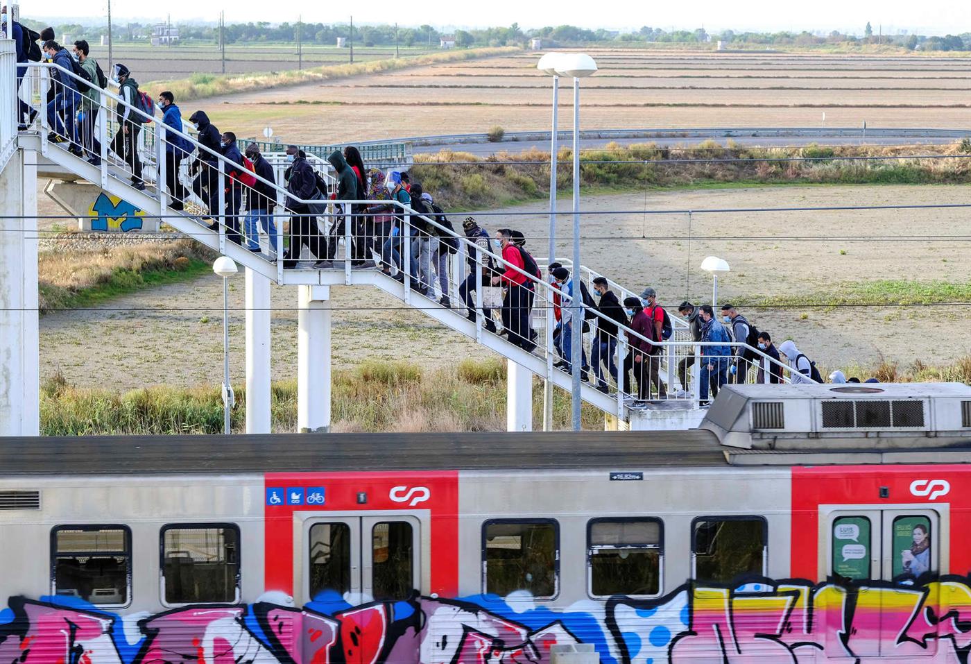 Covid-19: Aumento súbito de casos na Azambuja ameaça logística - Supply ...