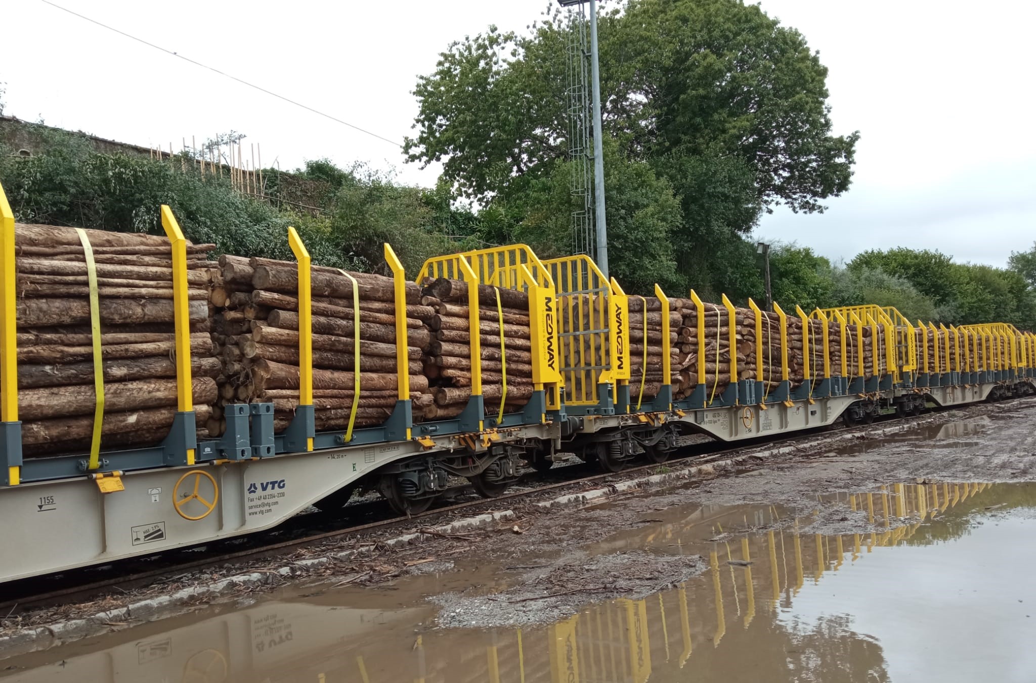 MEDWAY lança serviço para o transporte de madeira - Supply Chain Magazine