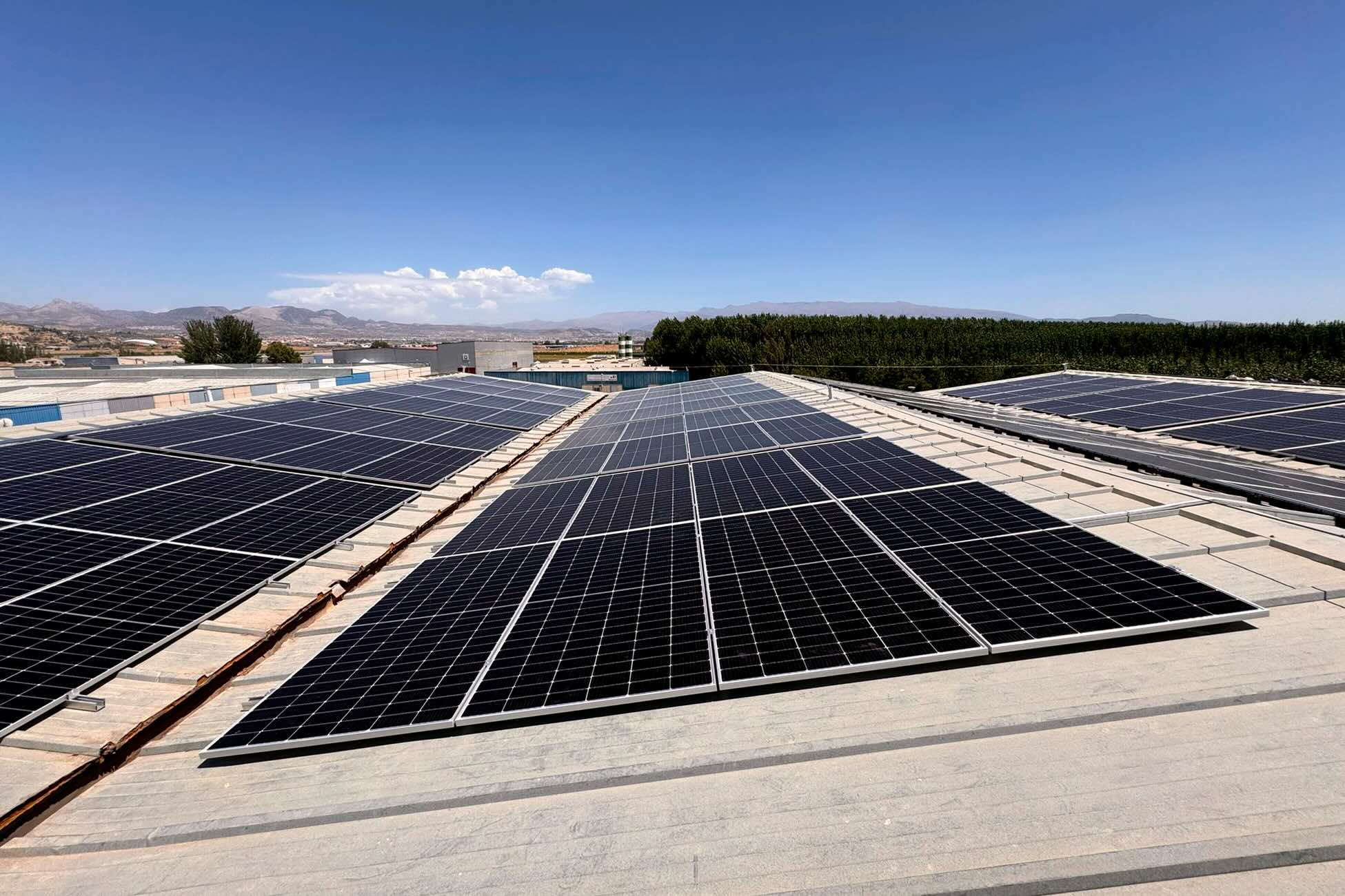 LOGIFRIO acelera transição energética em parceria com a Greenvolt ...