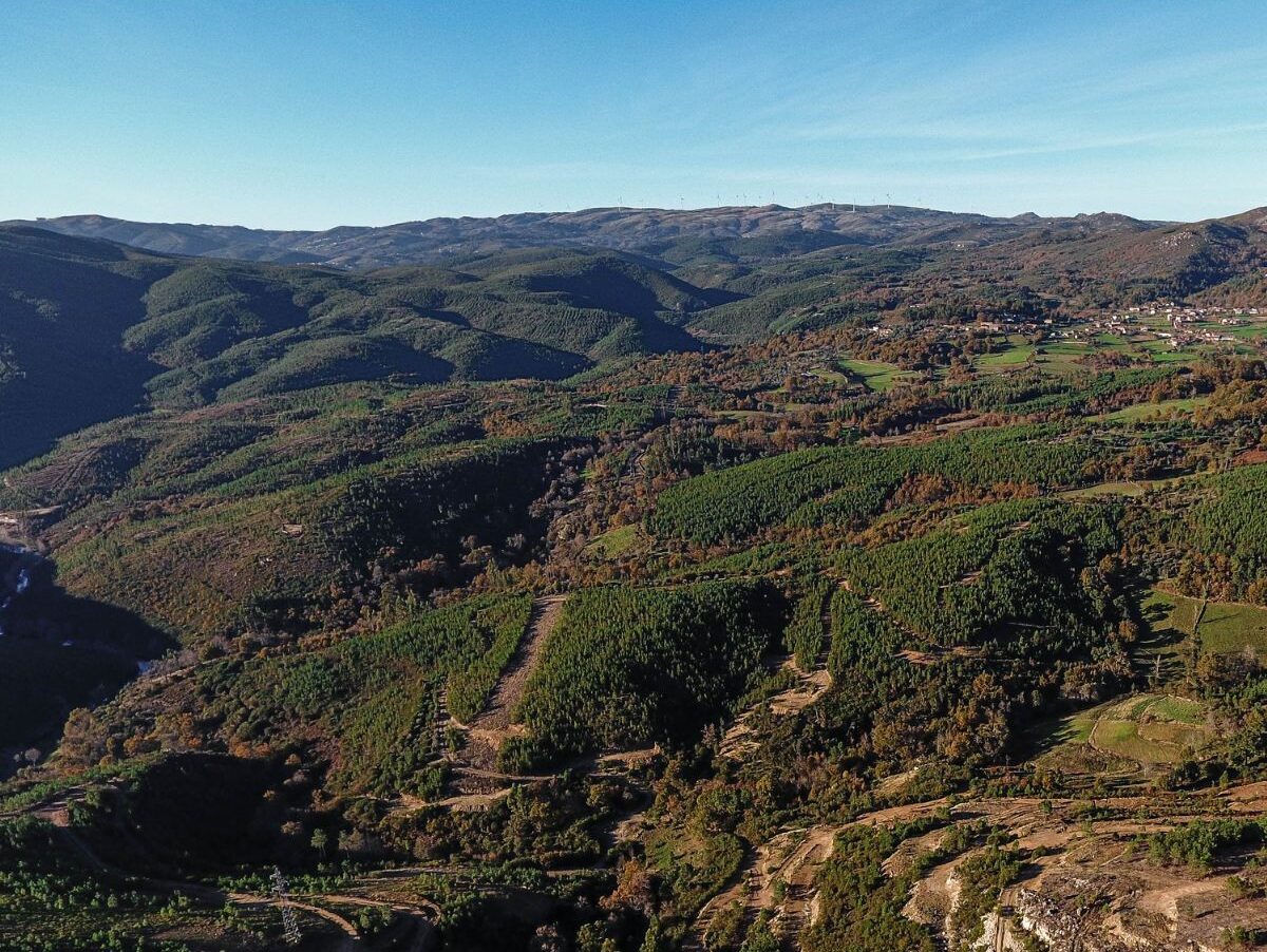 Savannah Resources confirma maior reserva europeia de lítio no Barroso - Supply Chain Magazine