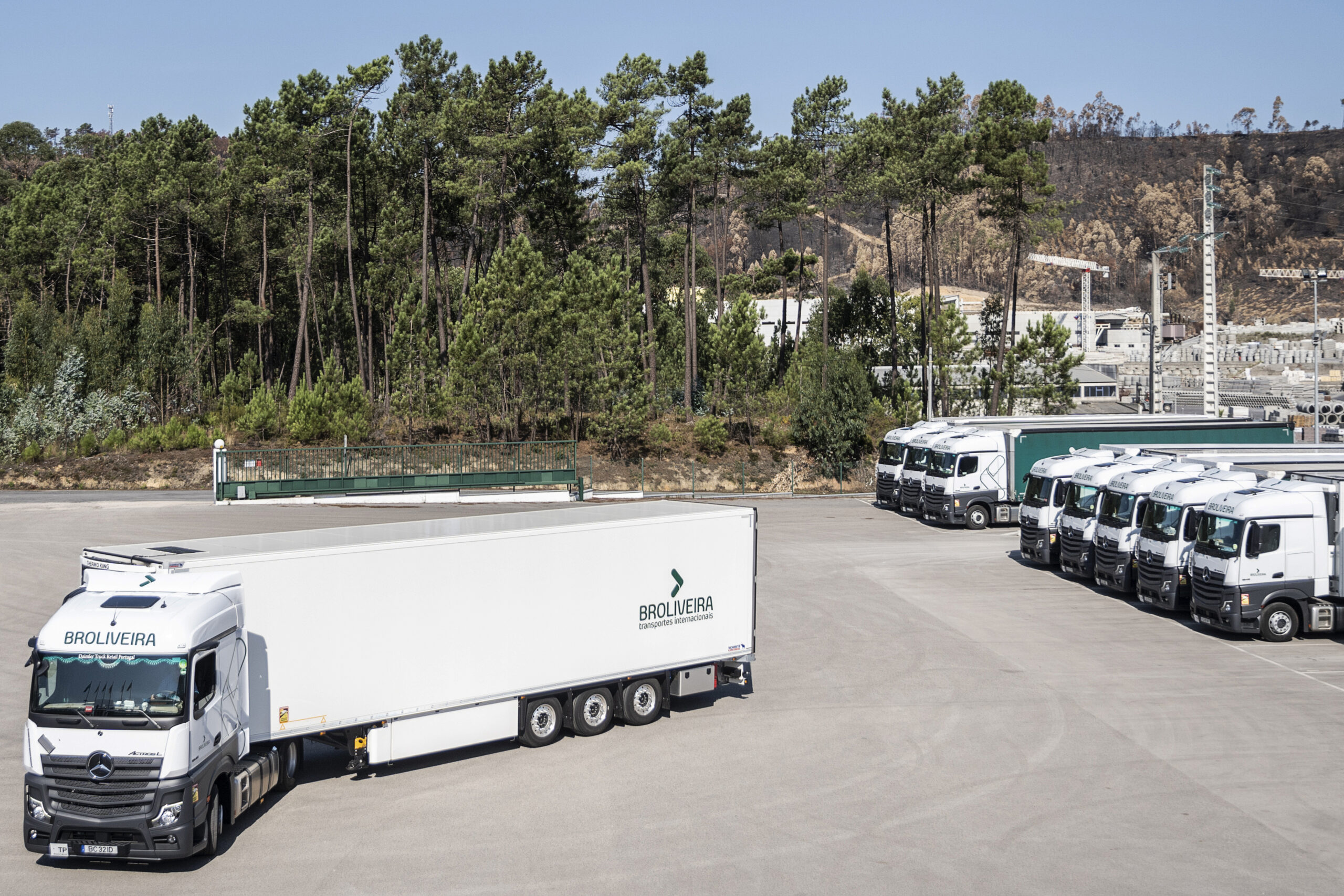 Broliveira conquista 3.ª estrela Lean & Green atribuída pela GS1 ...